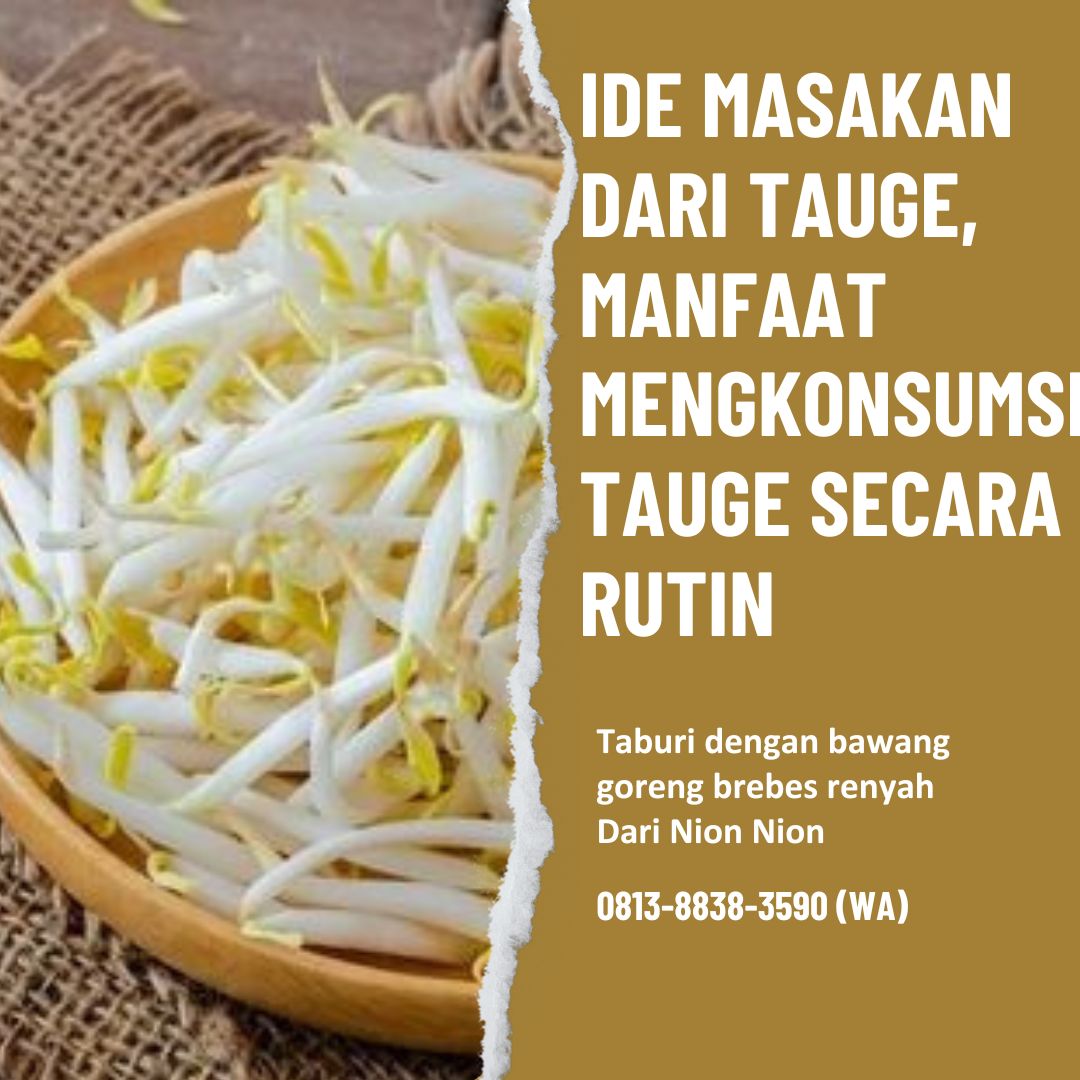 Ide Masakan Dari Tauge, Manfaat Mengkonsumsi Tauge - Bawang Goreng Nion ...