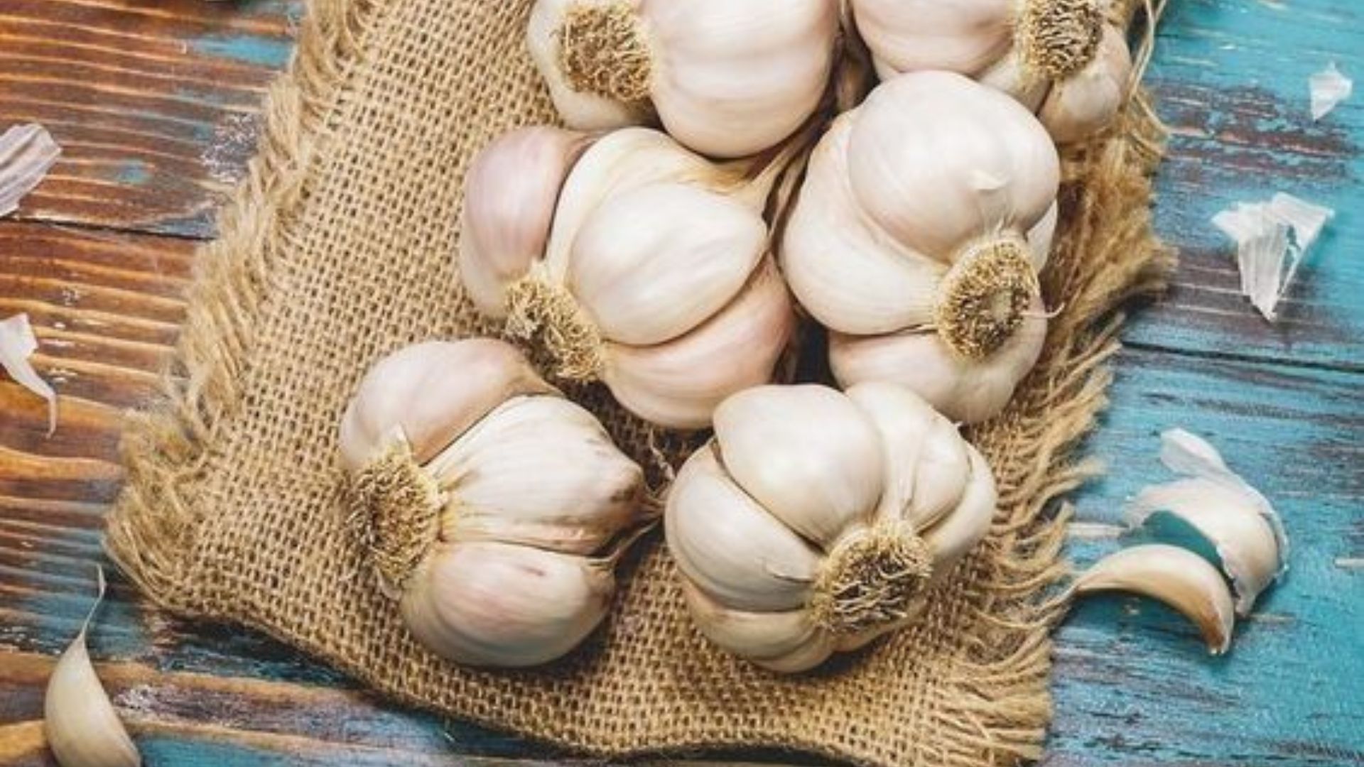 Cara Membuat Bawang Putih Bubuk, Panduan - Bawang Goreng Nion-nion