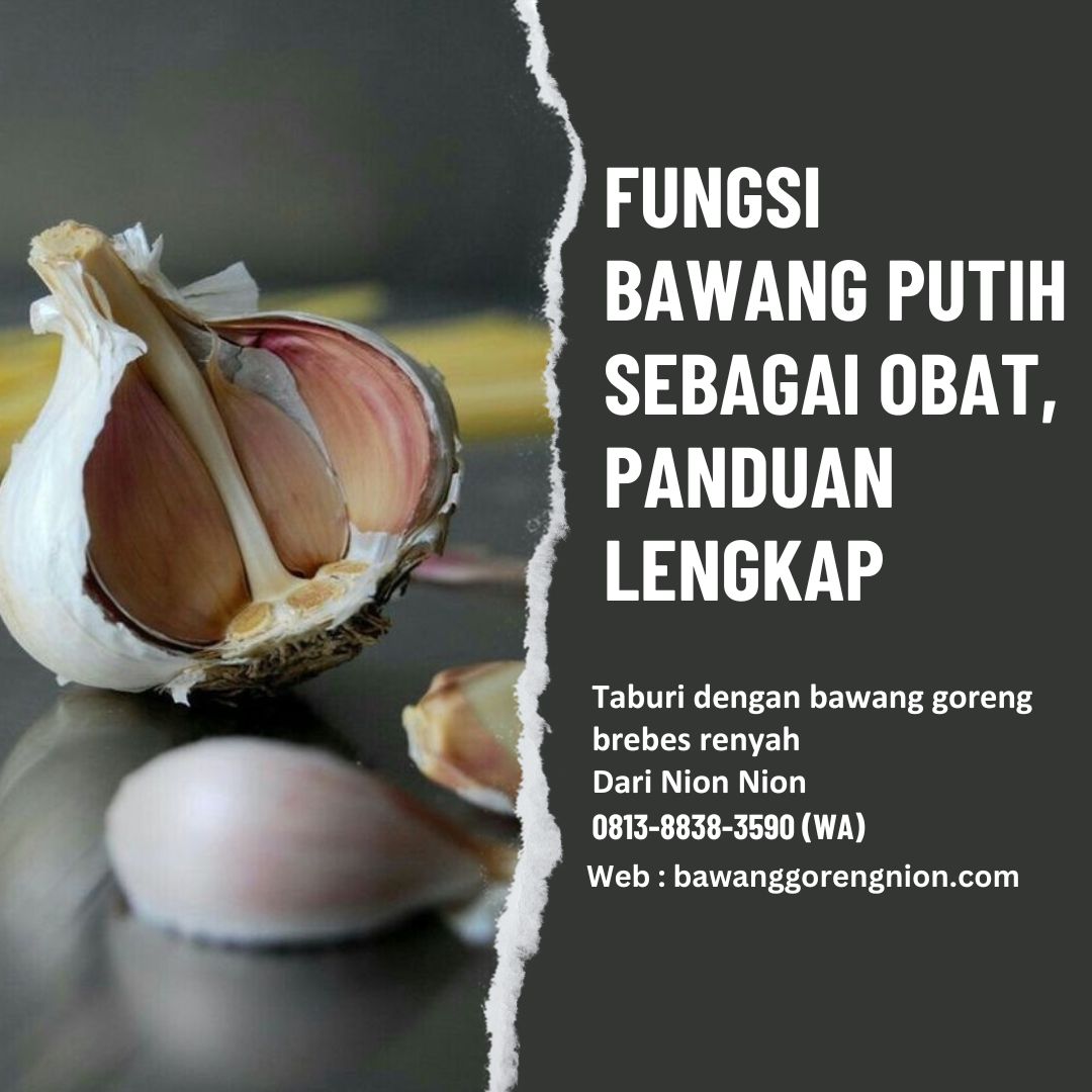 Fungsi Bawang Putih Sebagai Obat - Bawang Goreng Nion-nion