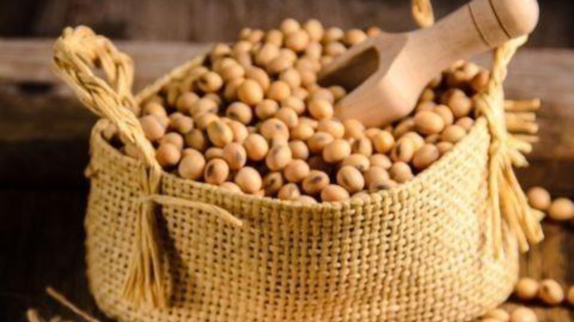 Kacang Kedelai Bagus Untuk Apa? - Bawang Goreng Nion-nion