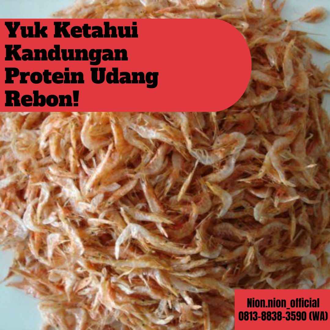 Ketahui Kandungan Protein Udang Rebon dan Macam Olahannya