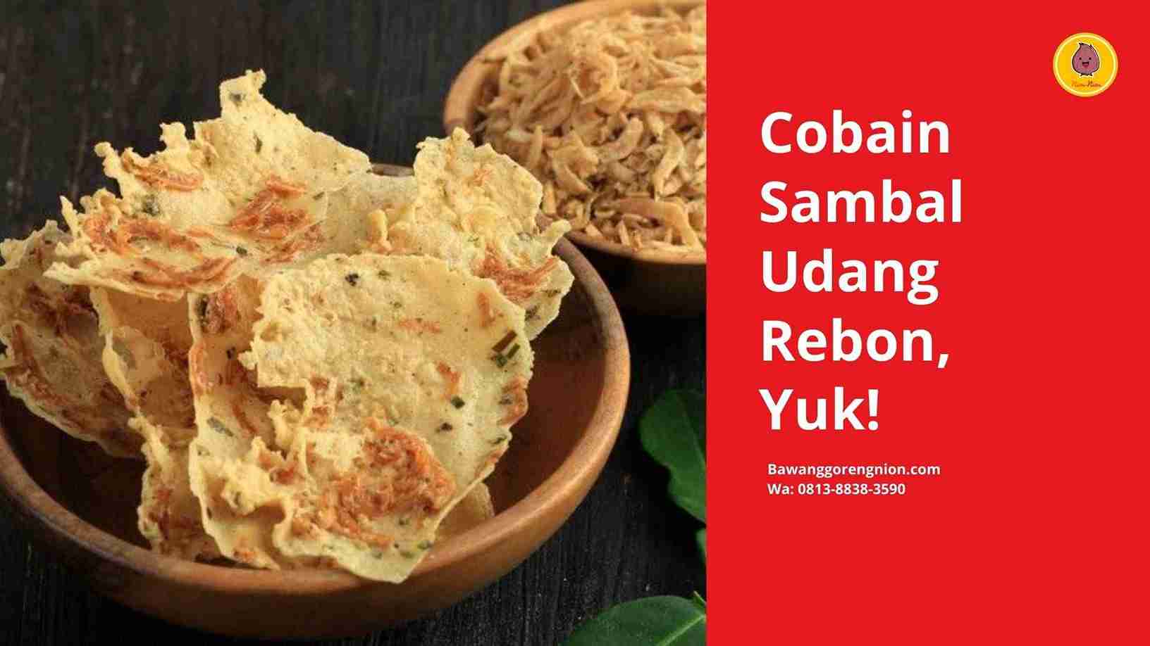 Ketahui Kandungan Protein Udang Rebon dan Macam Olahannya