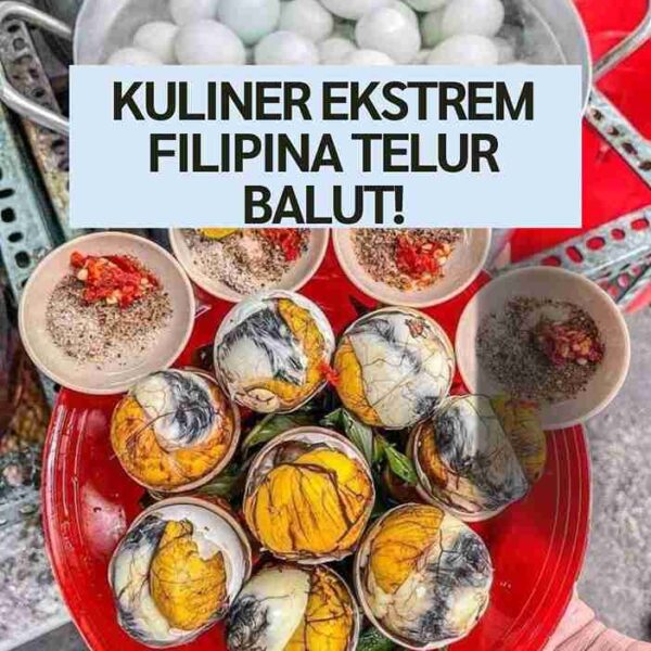 Mengenal Telur Balut: Makanan Unik yang Jadi Perbincangan